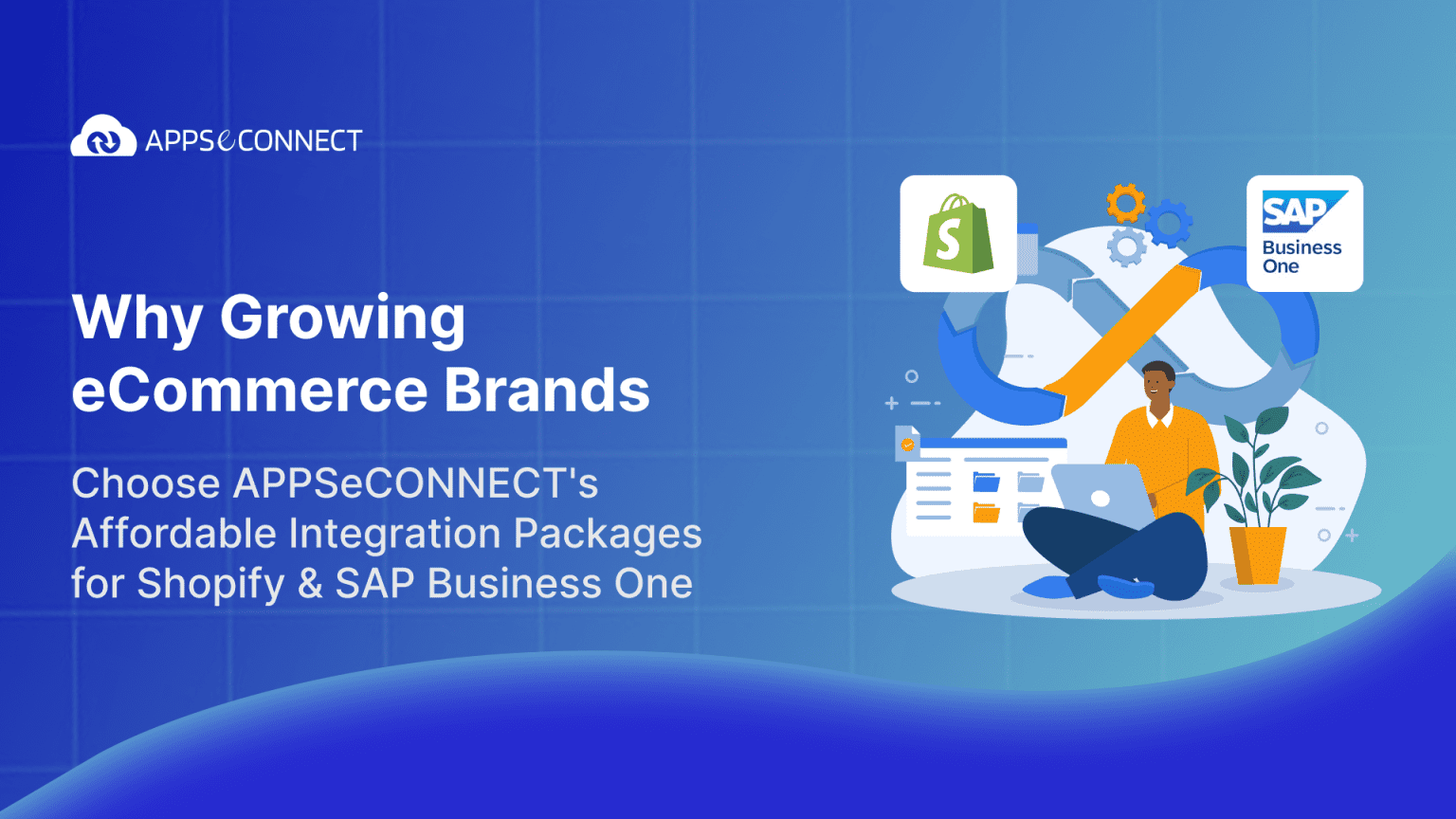 Shopify SAP Integration: Affordable Solution at $99/Month